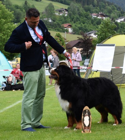 Litter "X" :: Codeli